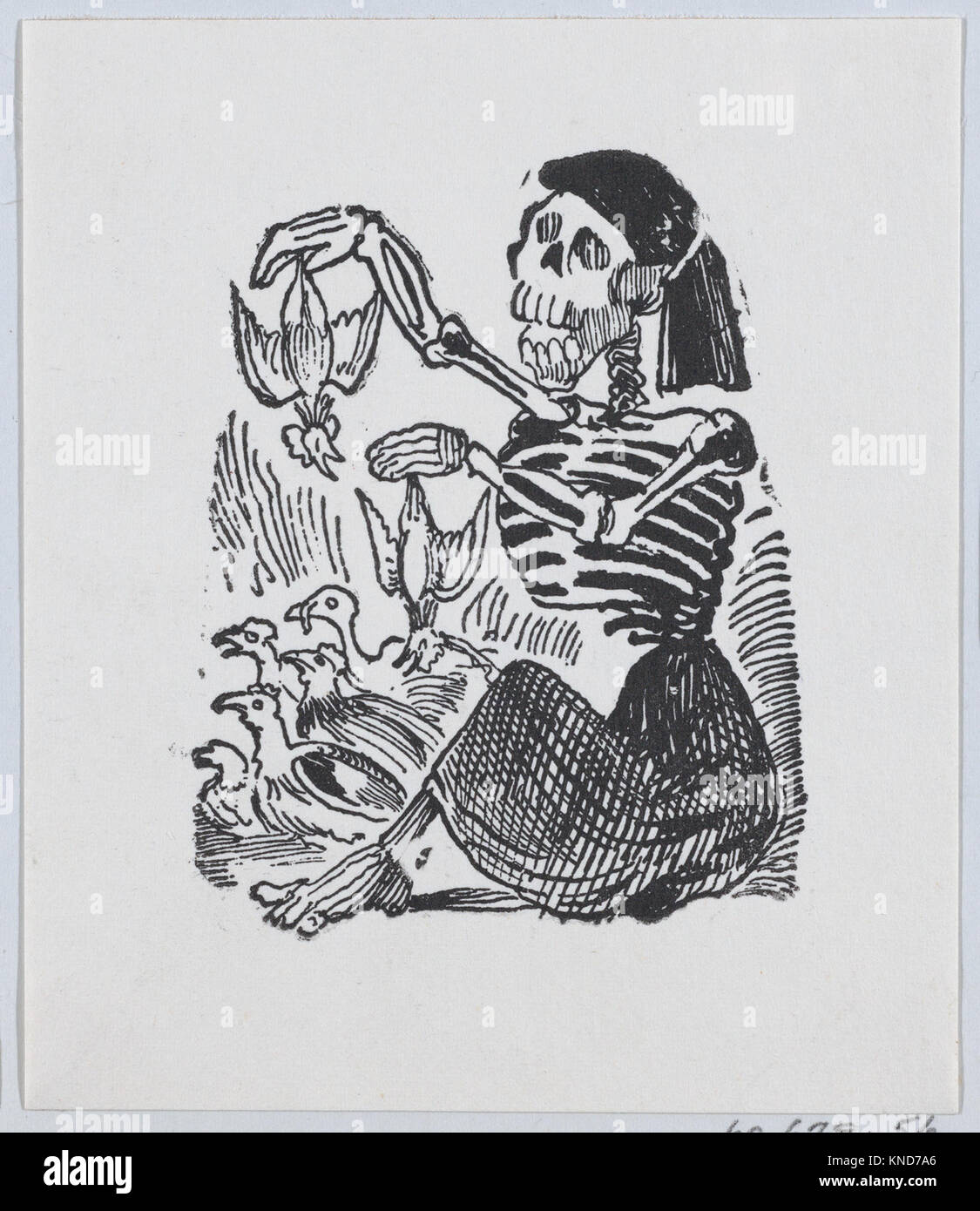 A broadside 'Una Calavera Chusca' shows a skeleton selling plucked ...