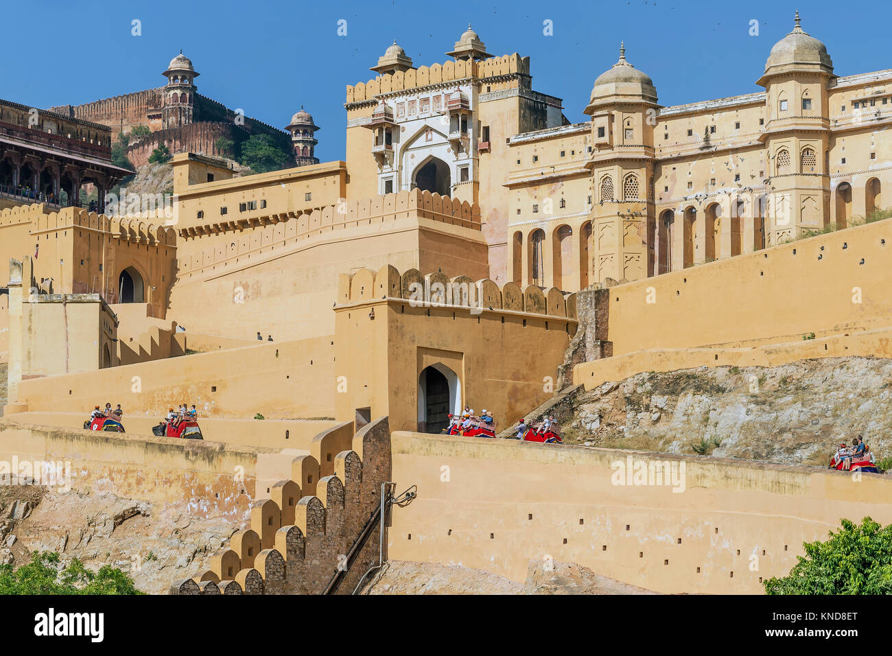 Back view tourist climbing hi-res stock photography and images - Alamy