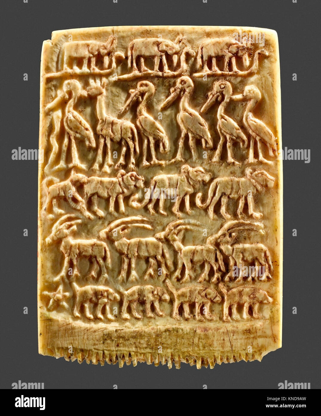 Davis comb 04 (cropped) x-default Stock Photo - Alamy