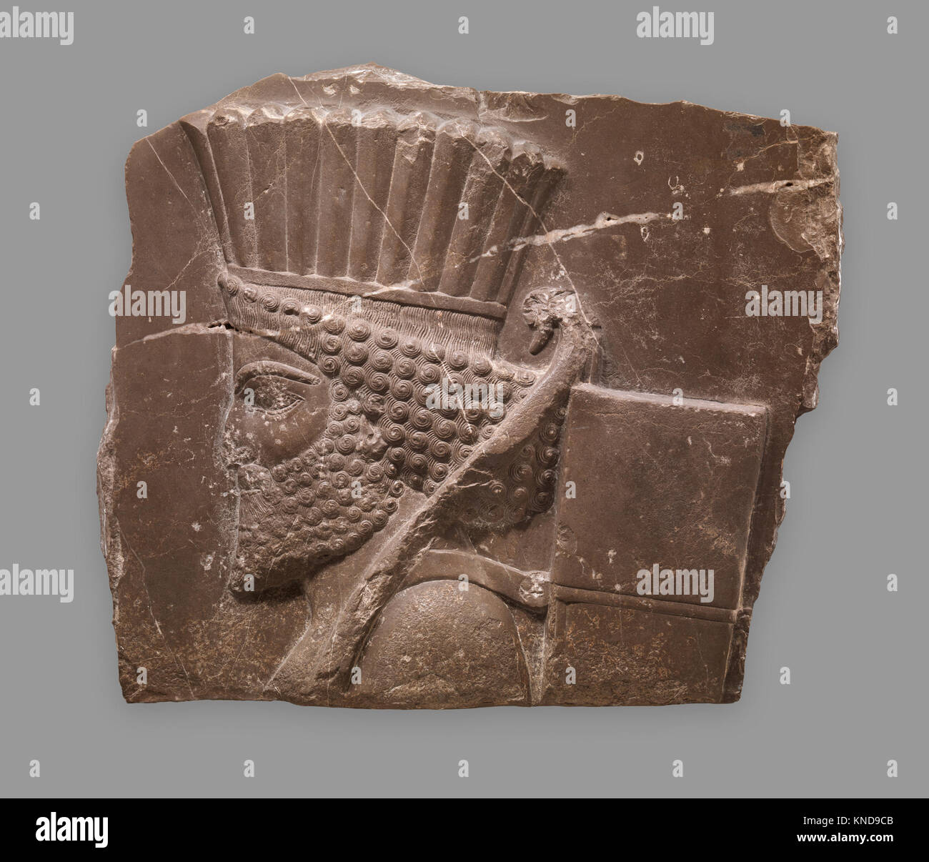 Head of a Persian guard MET DP-12499-019 324433 Stock Photo - Alamy