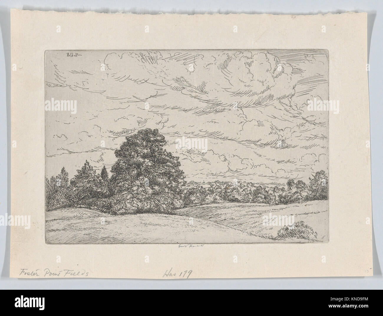 This artwork, titled 'Foster Point Fields,' is part of the MET ...