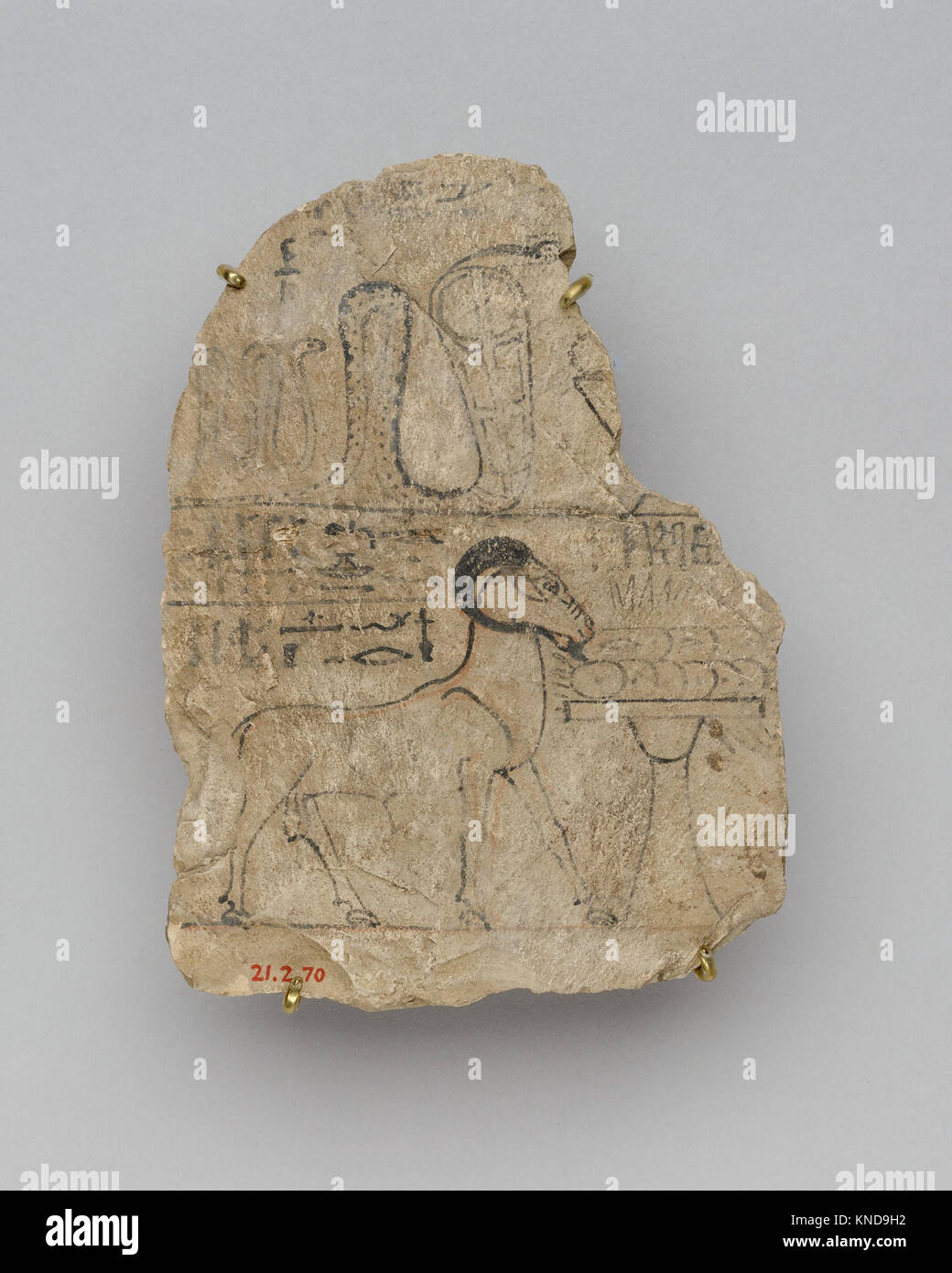 Preliminary lines hi-res stock photography and images - Alamy