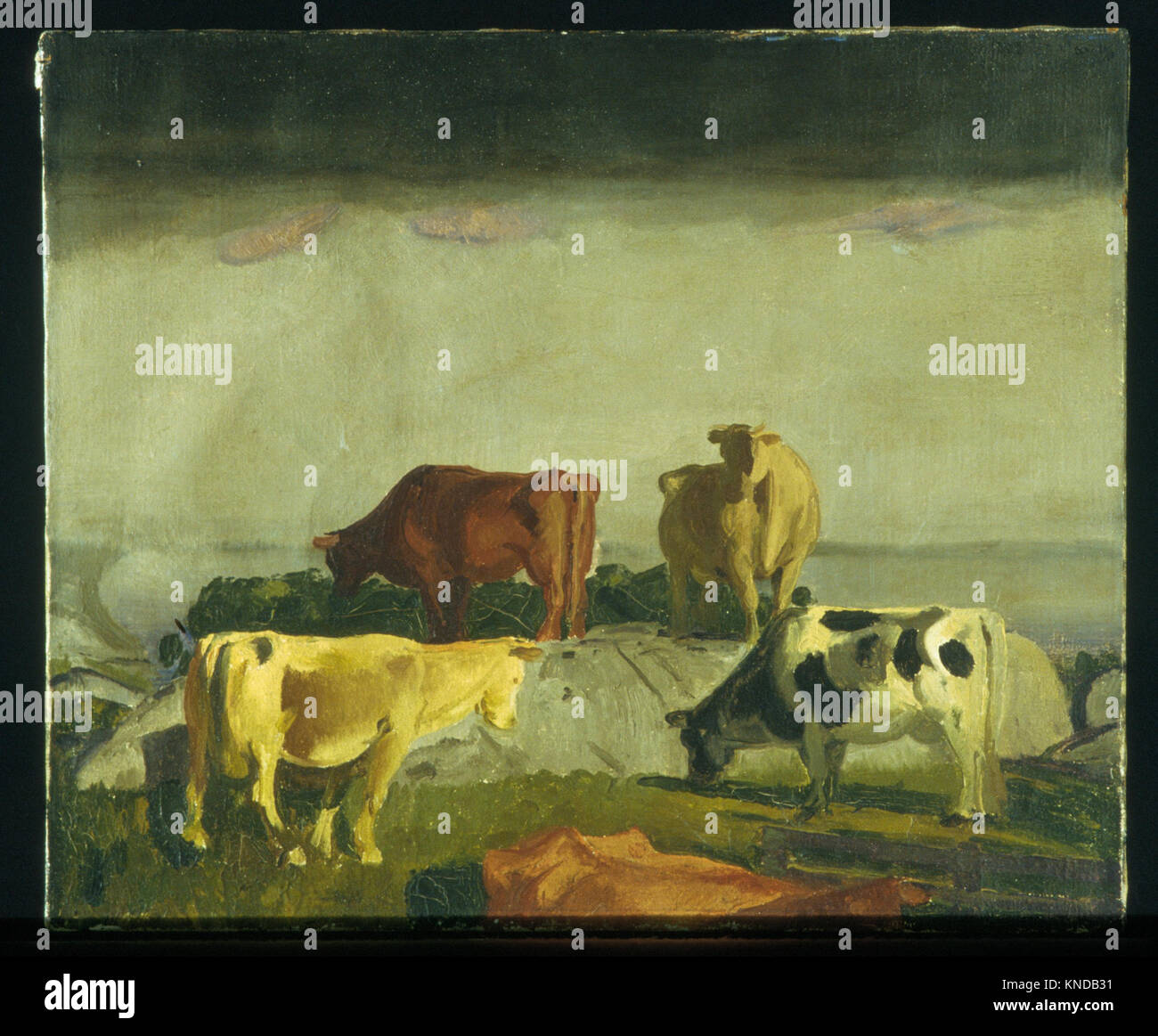 Livestock iconography hi-res stock photography and images - Alamy