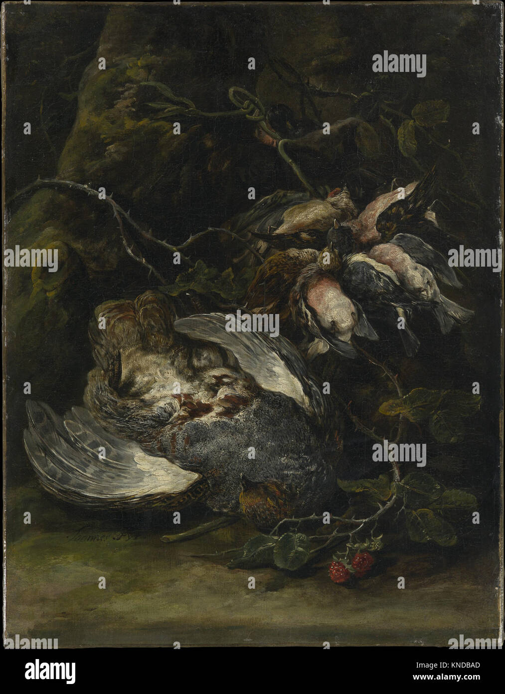 Jan Fyt's 1650s oil painting depicts a partridge with small game birds ...