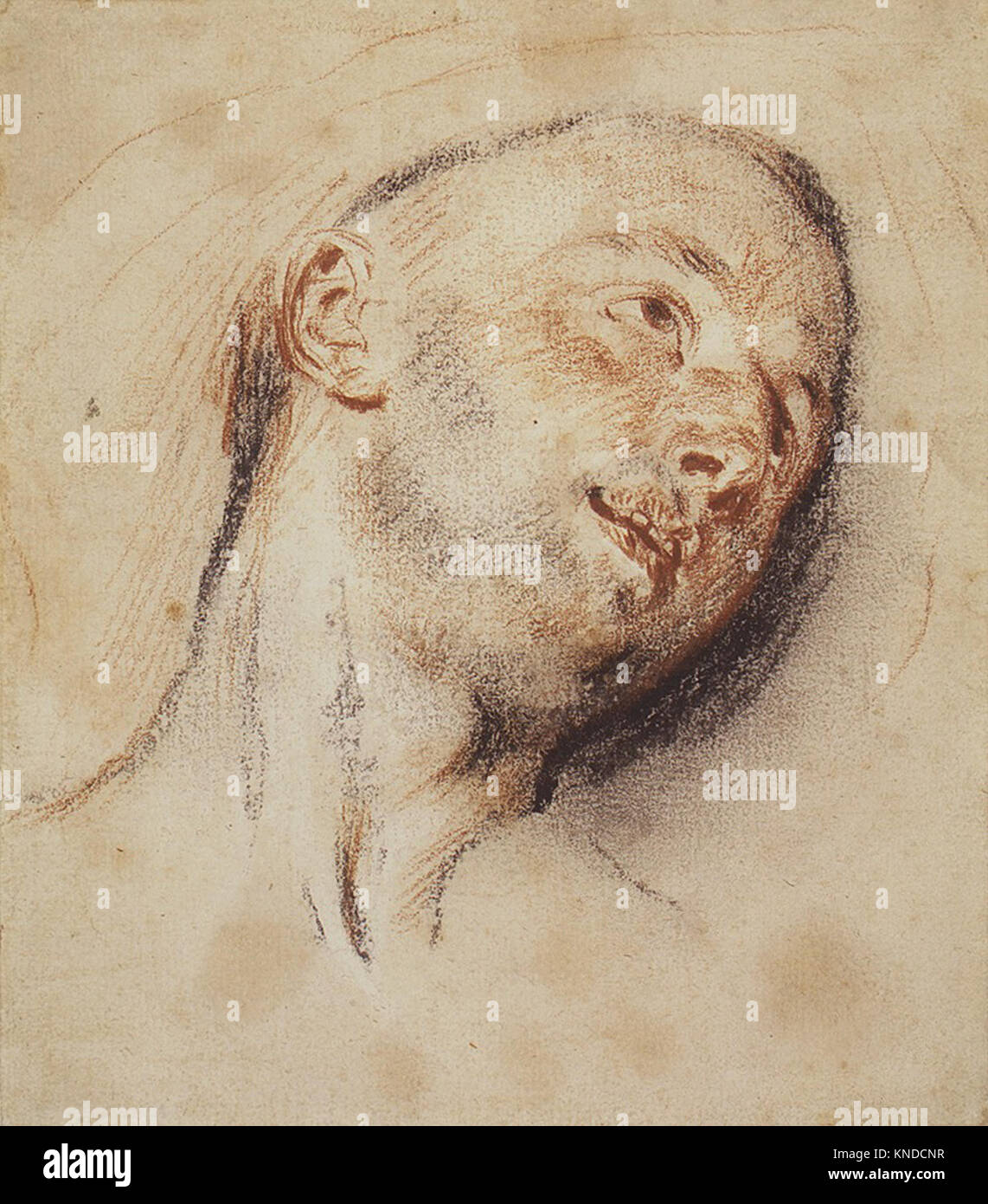 Head of a Man Stock Photo - Alamy