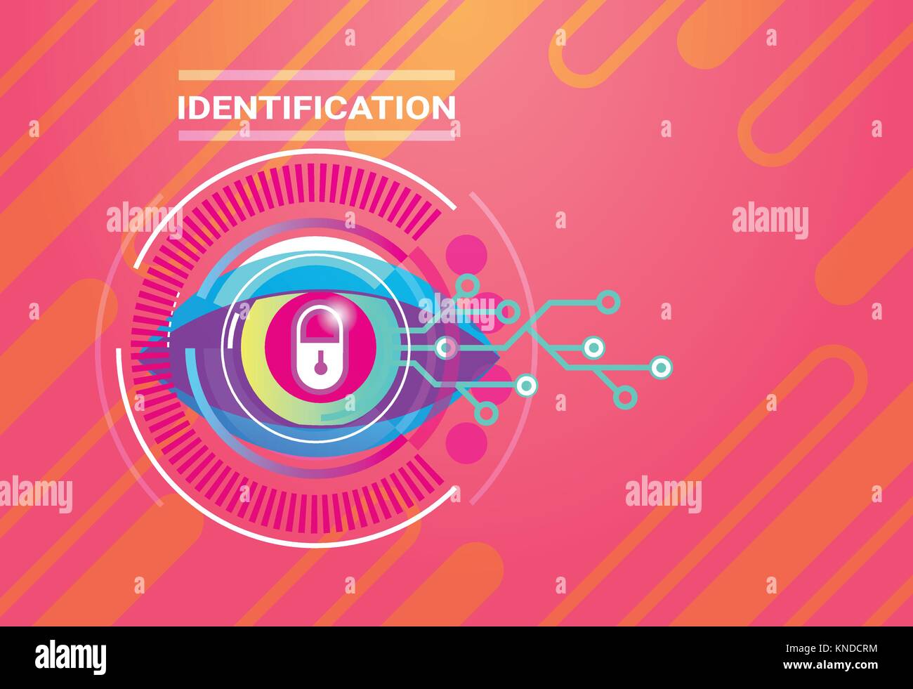 Scanning Of Eye Retina Identification System Protection And Security ...