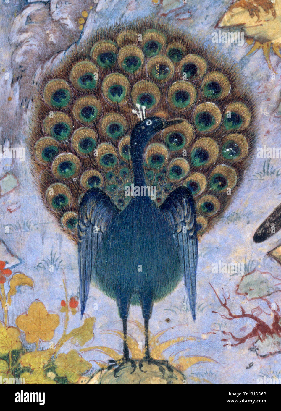 This folio from the *Mantiq al-tair* (Language of the Birds) features a ...