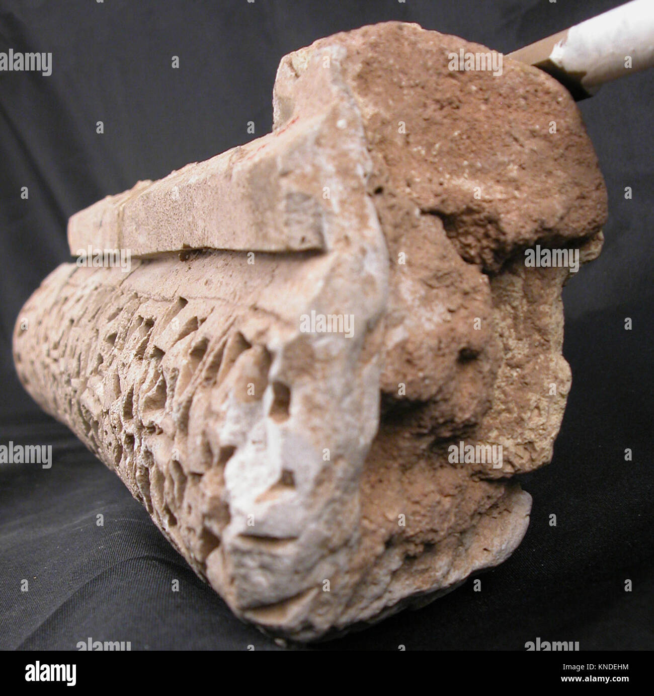 This column fragment showcases the architectural design and ...