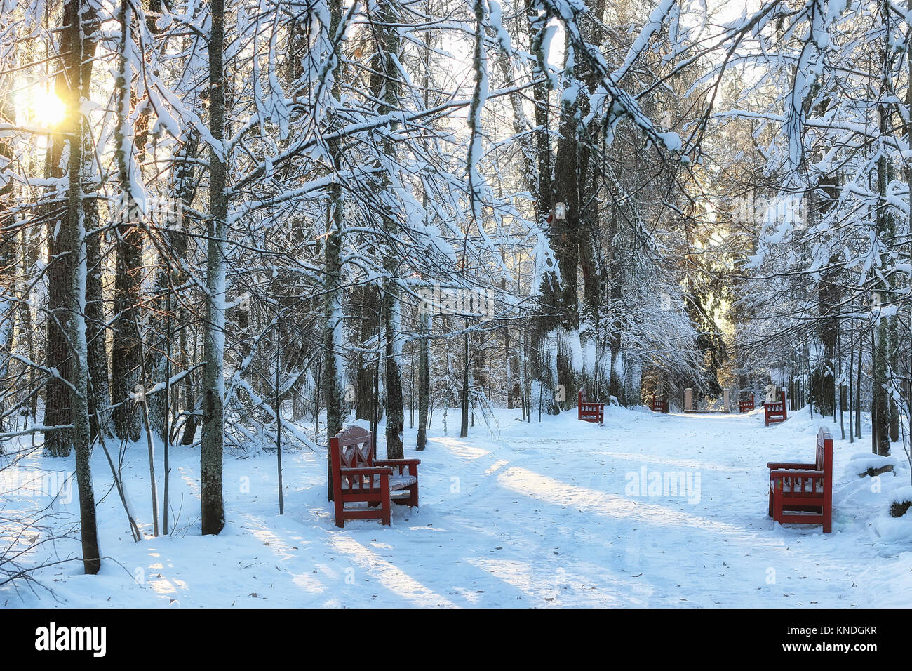 wood bench in winter Stock Photo - Alamy