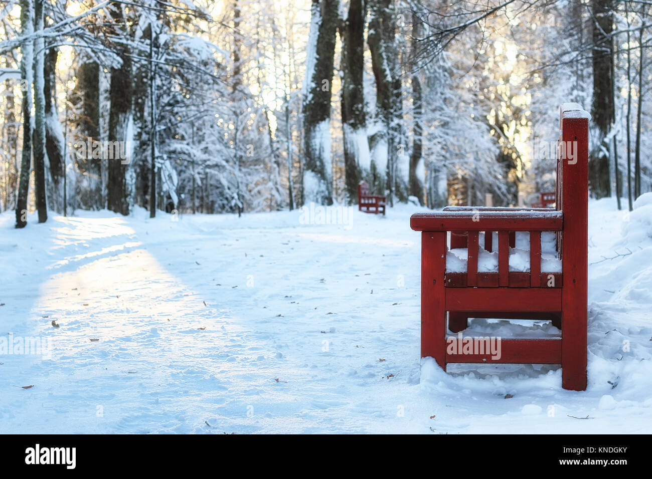 wood bench in winter Stock Photo - Alamy