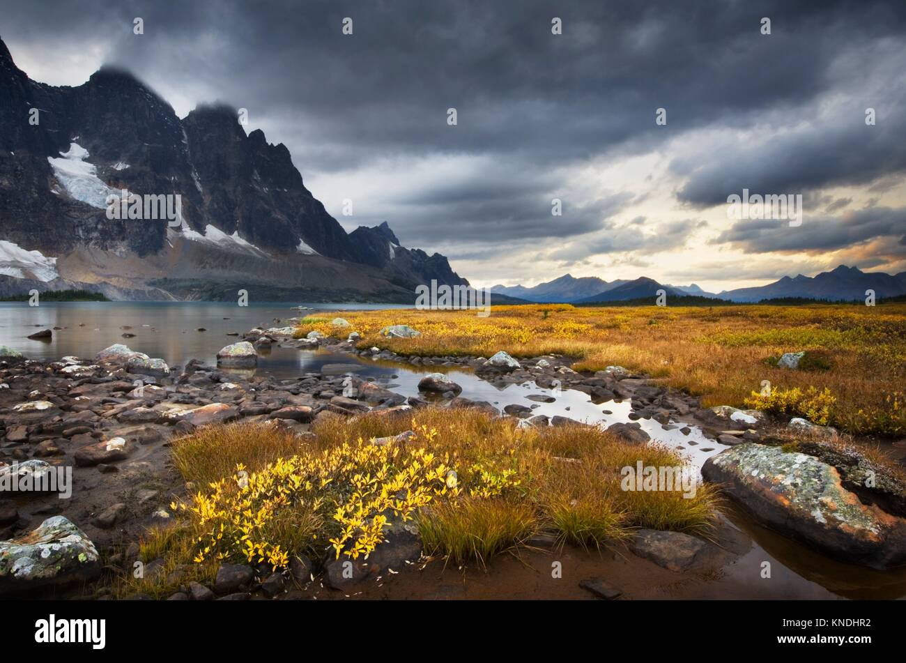 Tonquin Valley High Resolution Stock Photography and Images - Alamy
