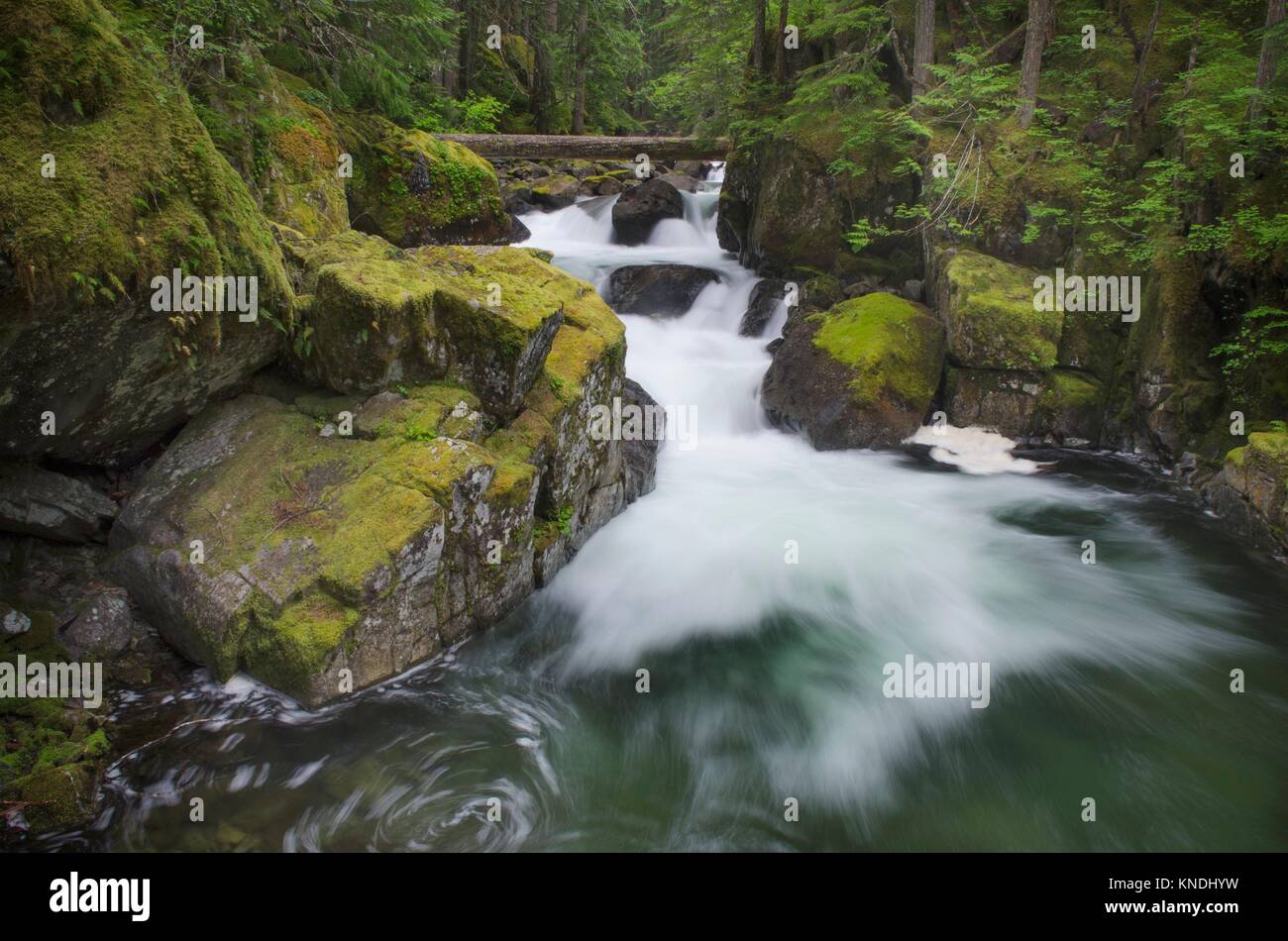 Deception Creek, Alpine Lakes Wilderness Washington Stock Photo - Alamy