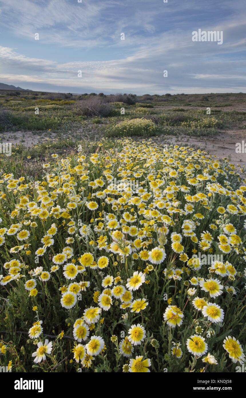 Coastal plains hi-res stock photography and images - Alamy