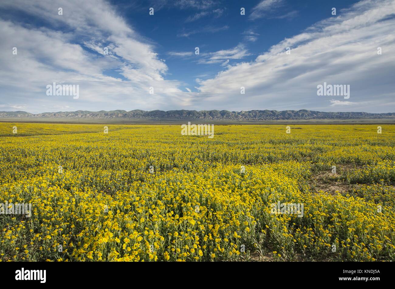 California national monument hi-res stock photography and images - Alamy