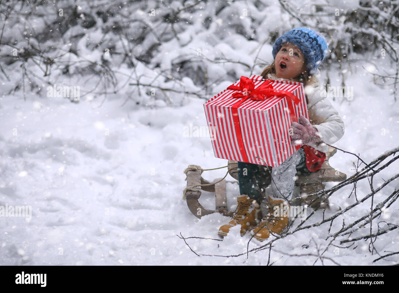 A winter fairy tale, a young mother and her daughter ride a sled Stock ...
