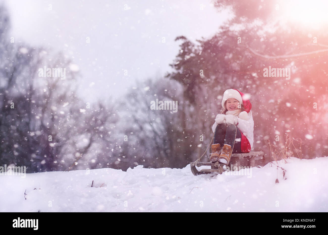A winter fairy tale, a young mother and her daughter ride a sled Stock ...