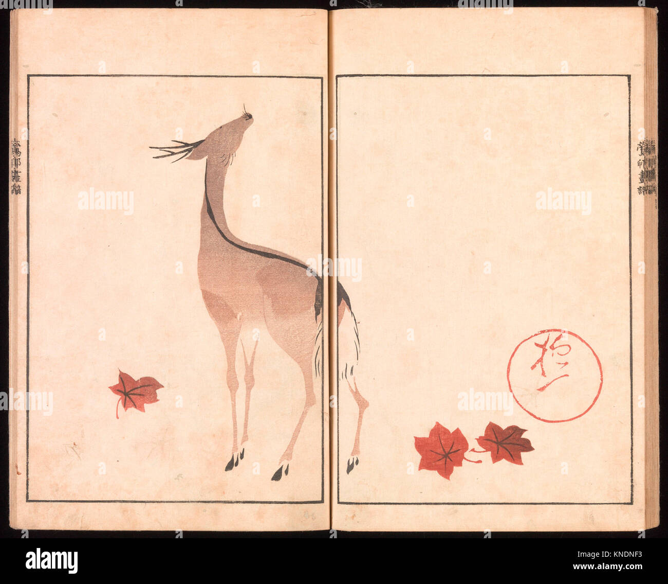 Art Pictures Of Sakai Hoitsu