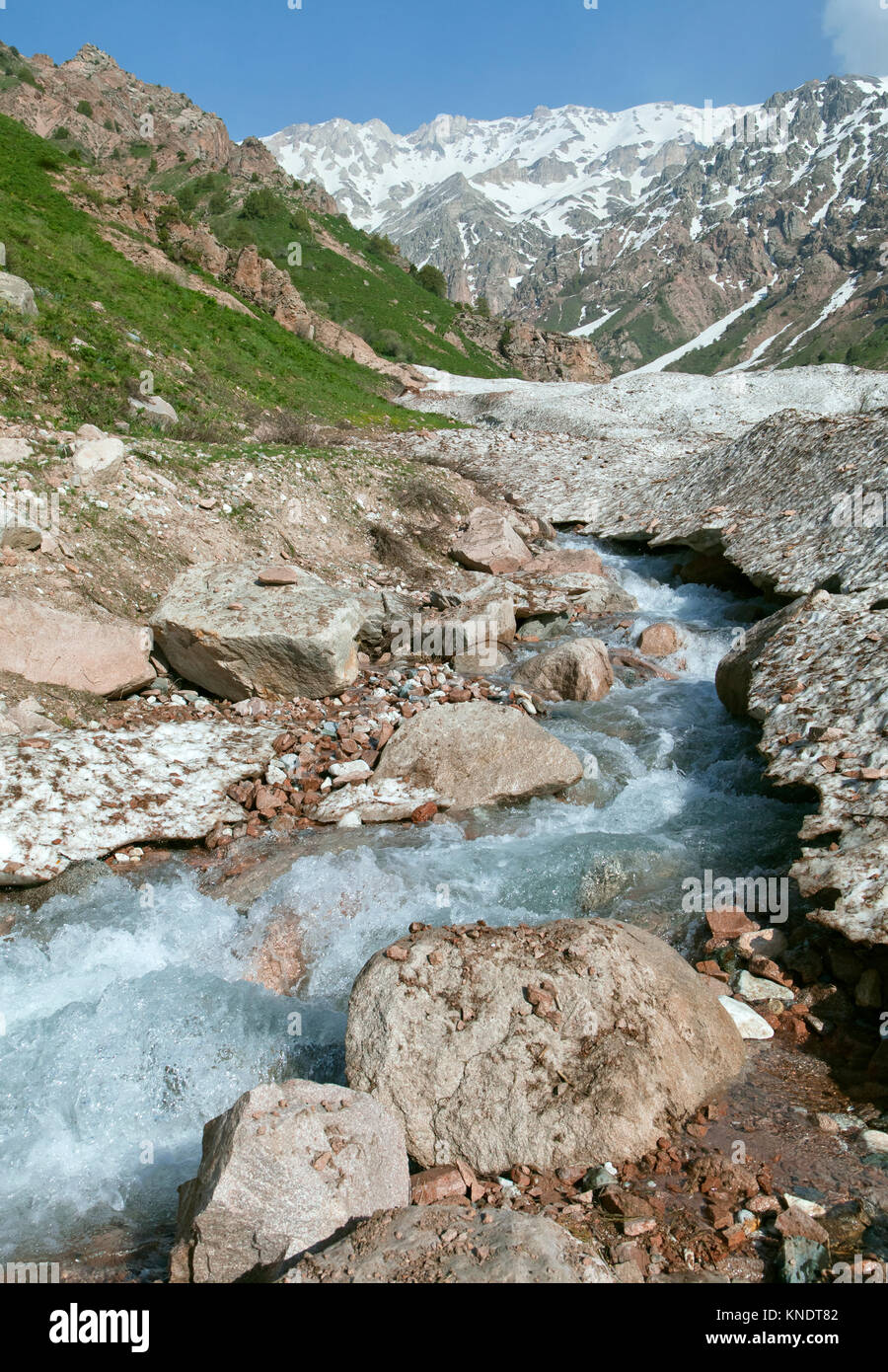 Small mountain creek in the spring Stock Photo - Alamy