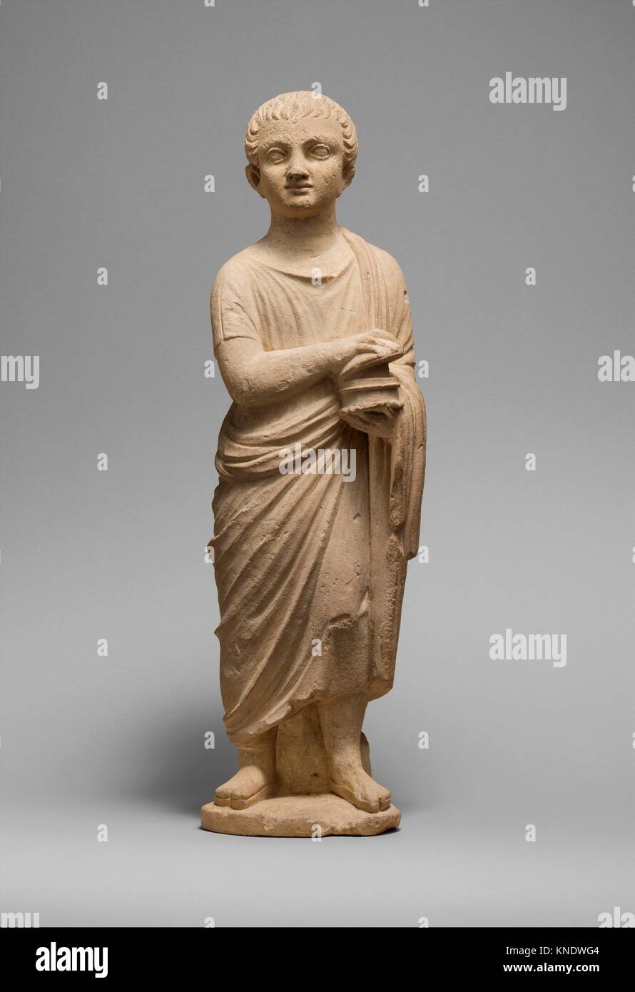 Chiton under hi-res stock photography and images - Alamy