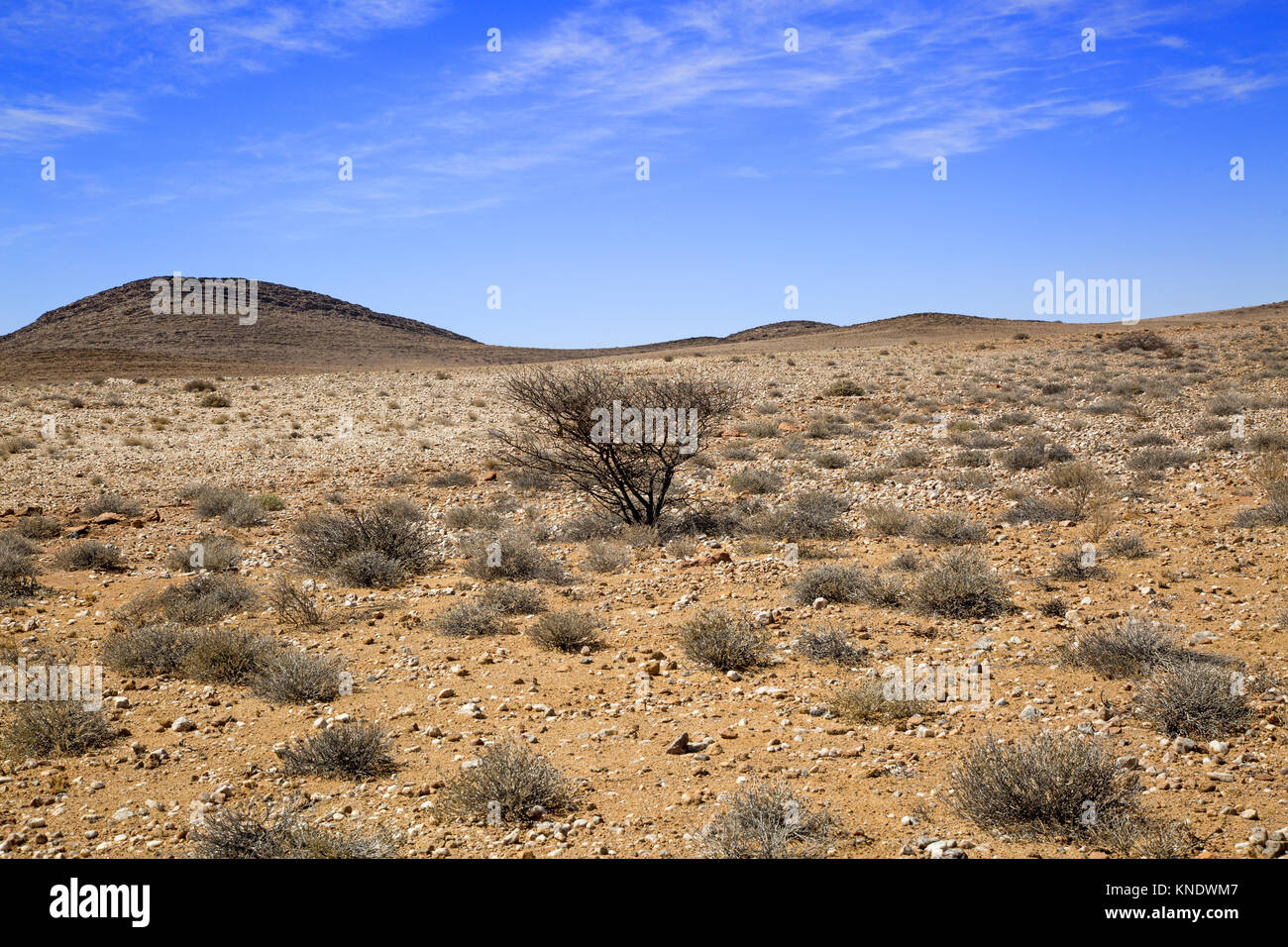 Natural spring water africa desert hi-res stock photography and images ...
