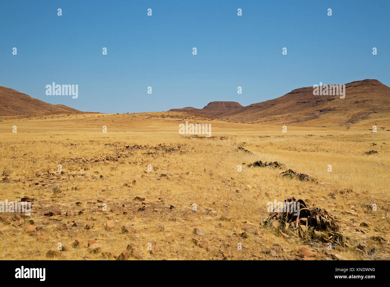 landscape with black stones and road damaraland namibia Stock Photo - Alamy