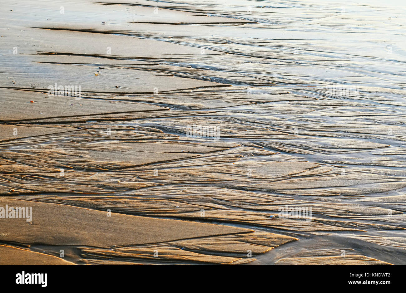 beautiful patterns on the Golden shining sand from the strong sea waves ...