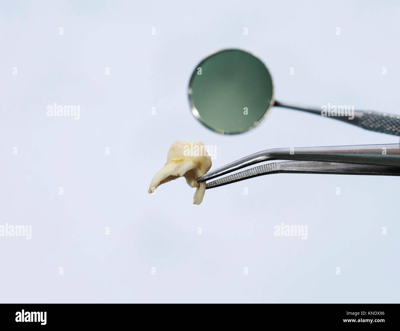 Tooth extraction tools hi-res stock photography and images - Alamy