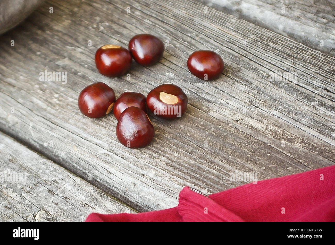 Buckeye Nuts on Wood Table with a Red Sweater Stock Photo - Alamy