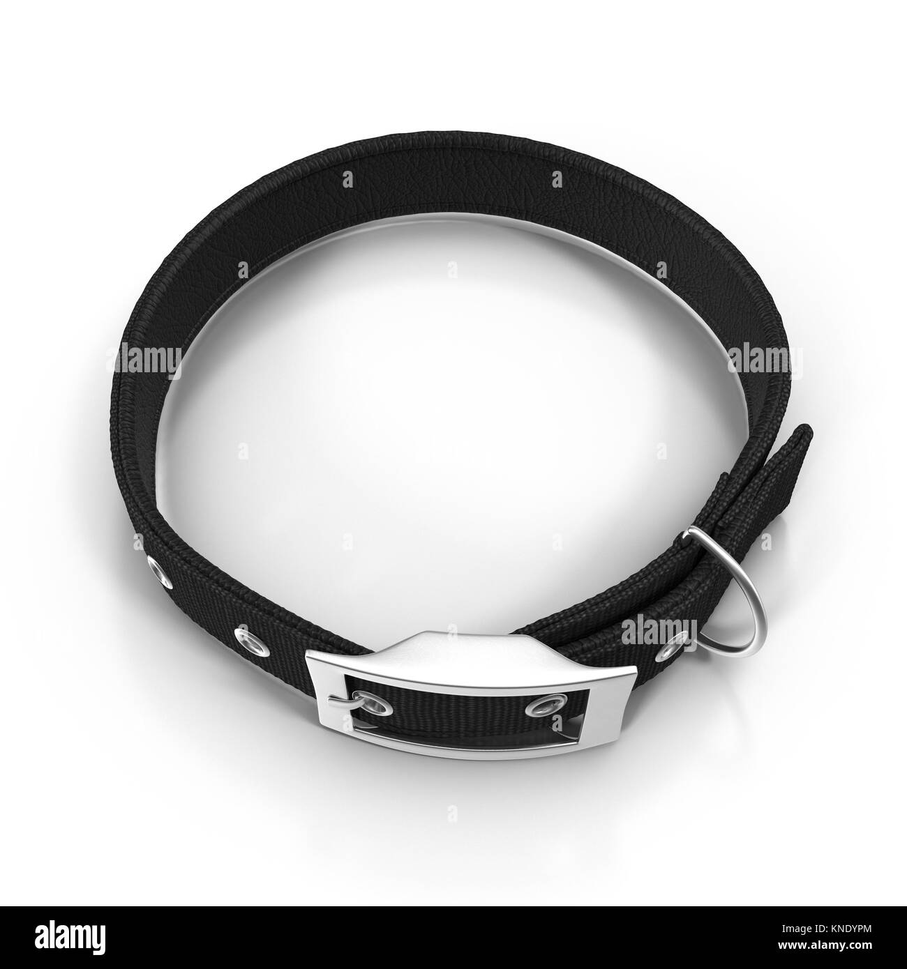 Leather dog collar Black and White Stock Photos & Images - Alamy