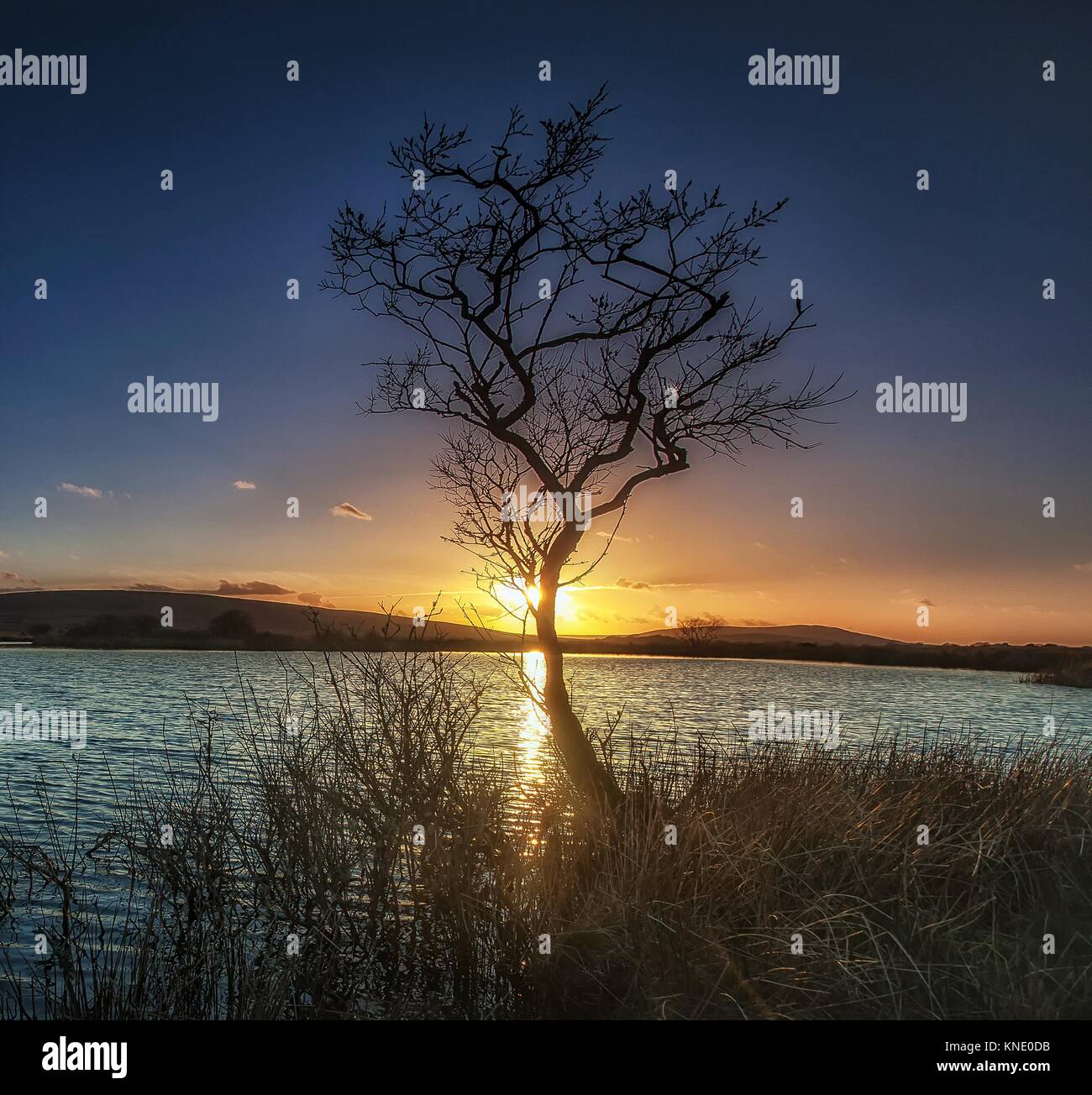 Blue pool wales hi-res stock photography and images - Alamy