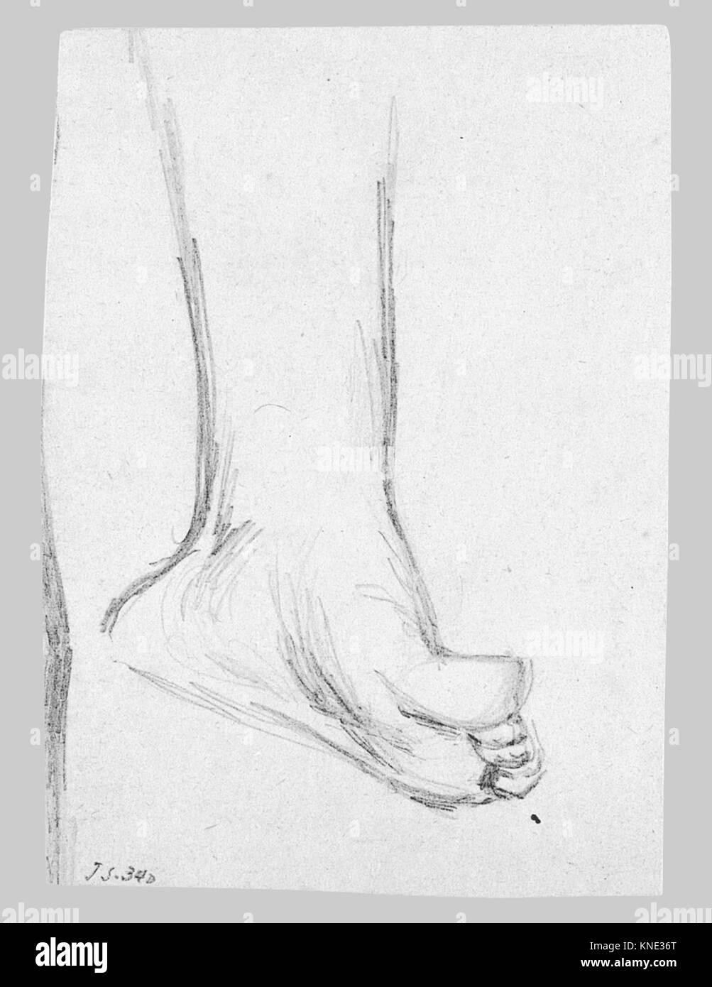 This foot, likely part of a larger structure, demonstrates the design ...