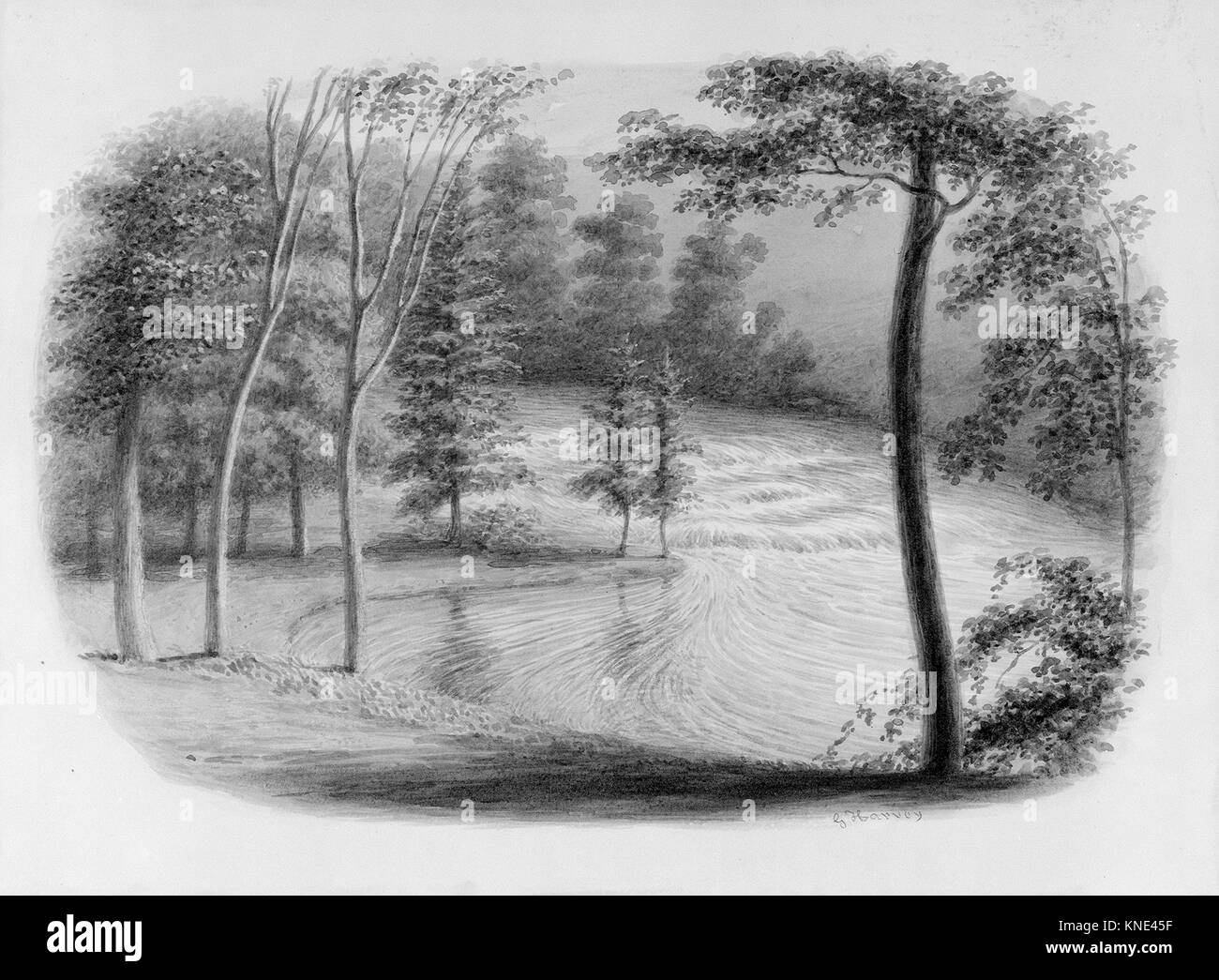 This artwork titled *A Brook*, from the Hosack Album, depicts a serene ...