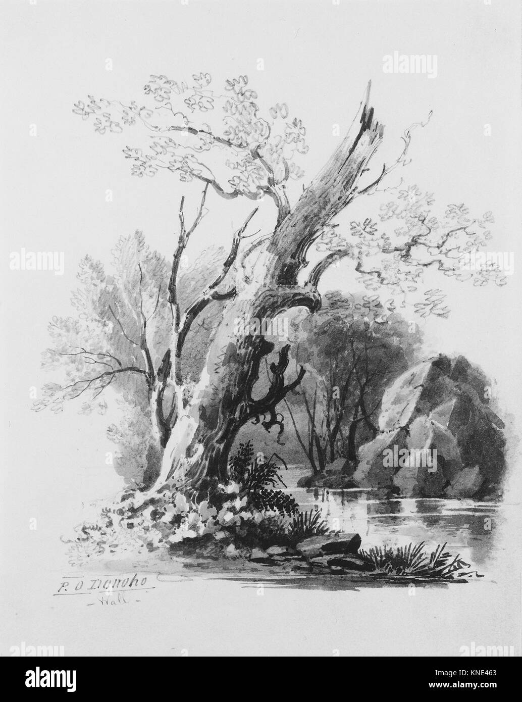 This artwork depicts a forest grove, illustrating the natural beauty of ...