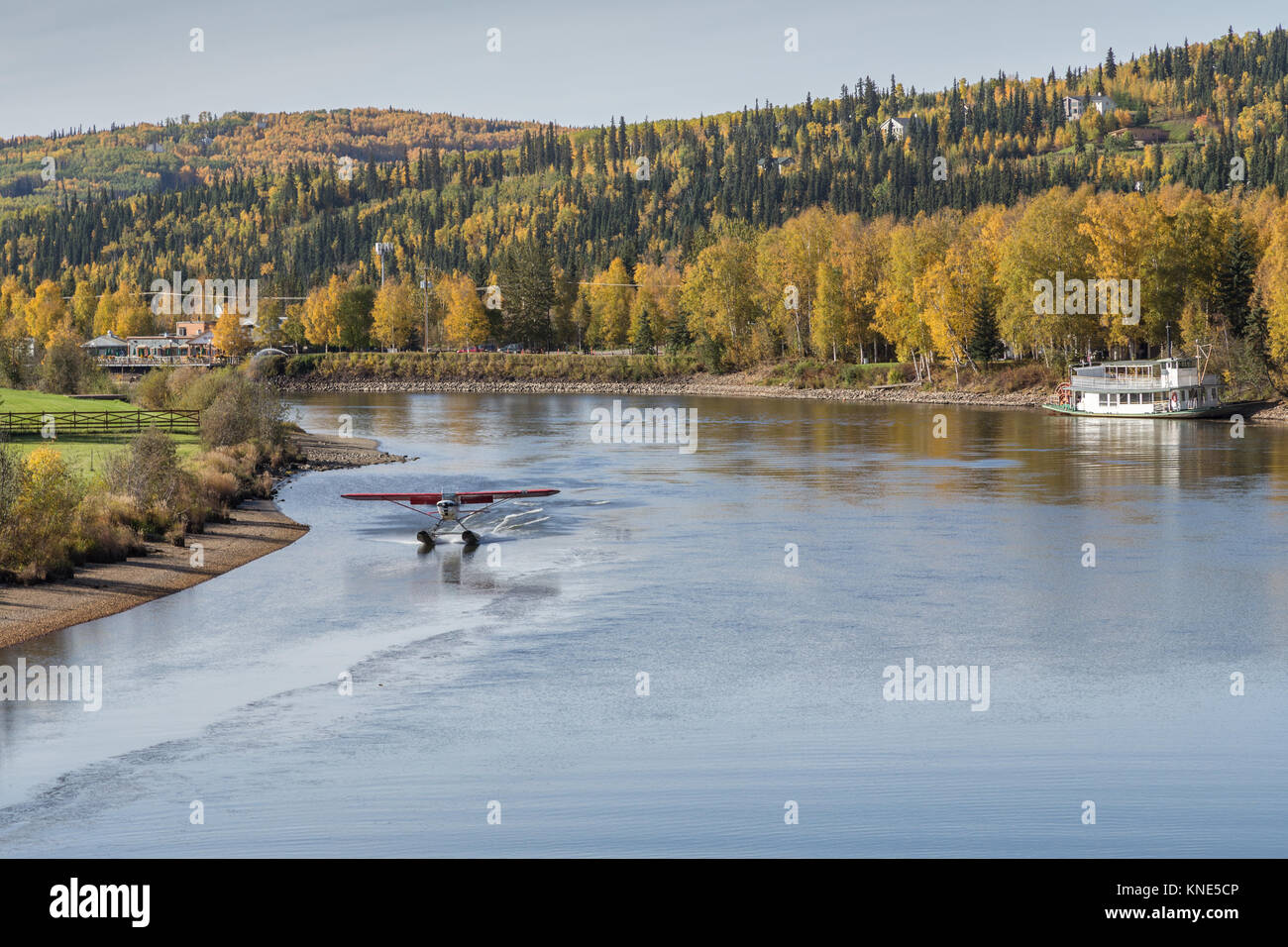 Floatplane landing on the Chena River in the fall (autumn) in Fairbanks ...
