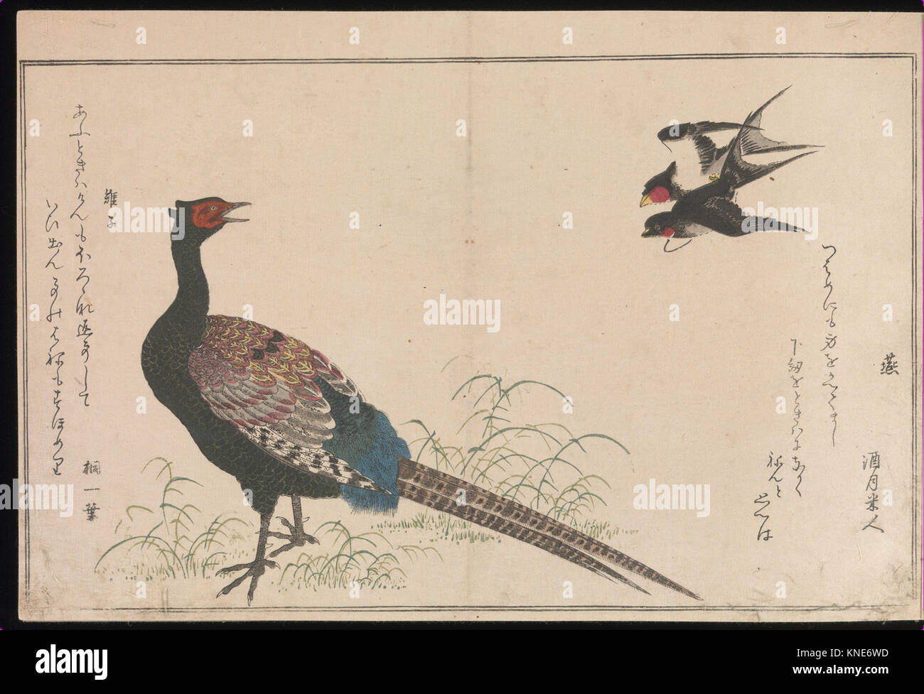 This Japanese picture book, 'Myriad Birds,' is a playful verse ...