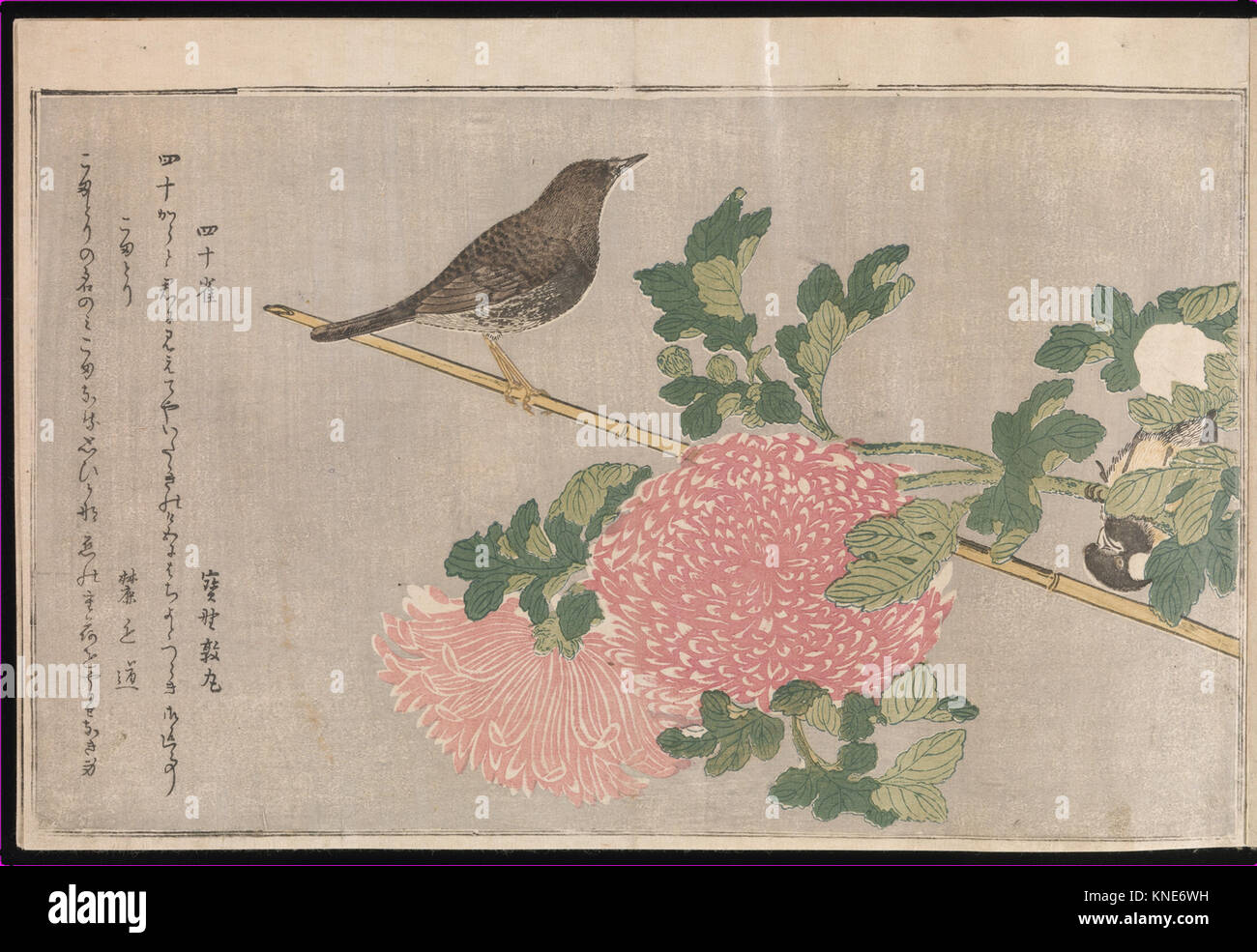 Kyodoka awase hi-res stock photography and images - Alamy