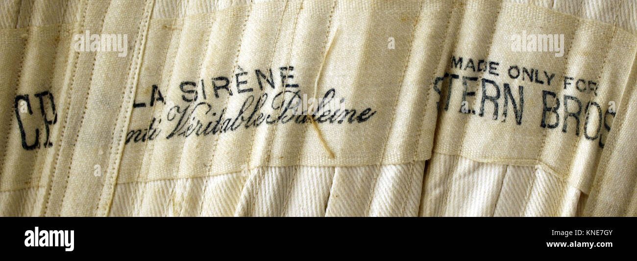 A corset housed in the Metropolitan Museum of Art's collection ...