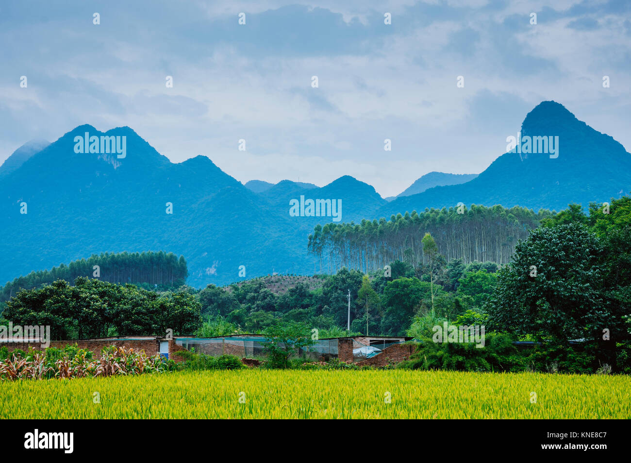 Beautiful countryside scenery Stock Photo - Alamy