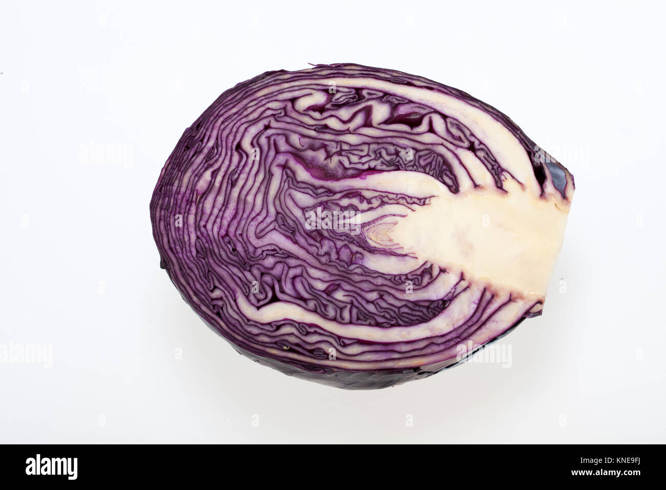 Red Cabbage cross section on White Background Stock Photo - Alamy