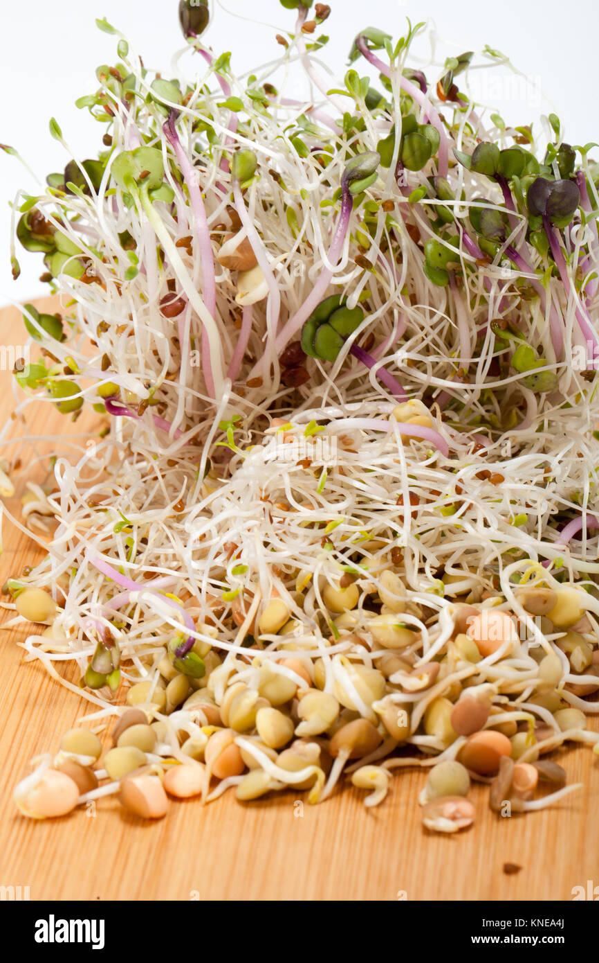 The healthy diet. Fresh sprouts isolated on white background Stock ...