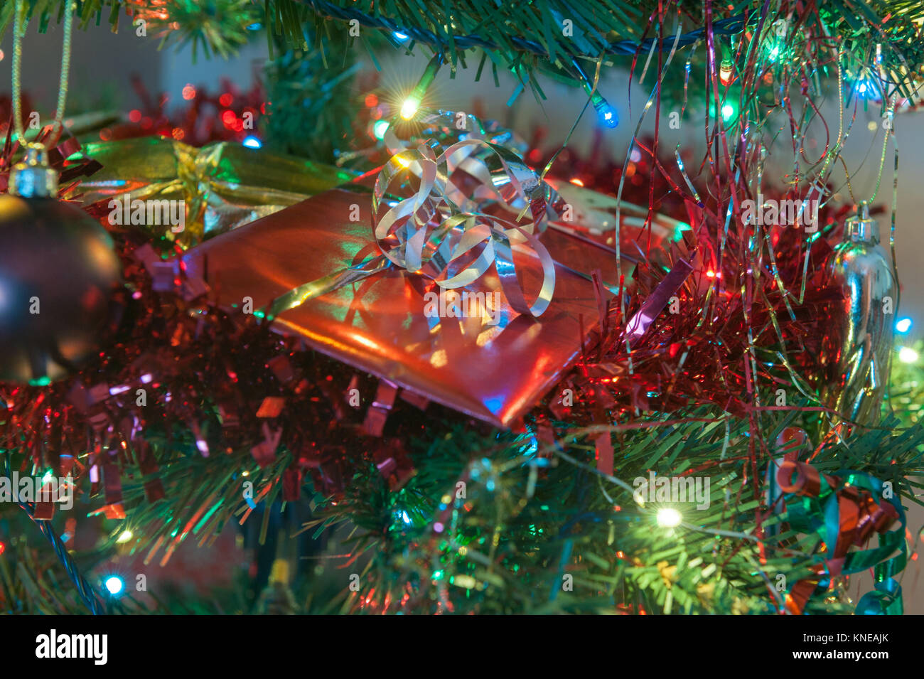 close up of christmas tree with gift in tree wrapped up Stock Photo - Alamy