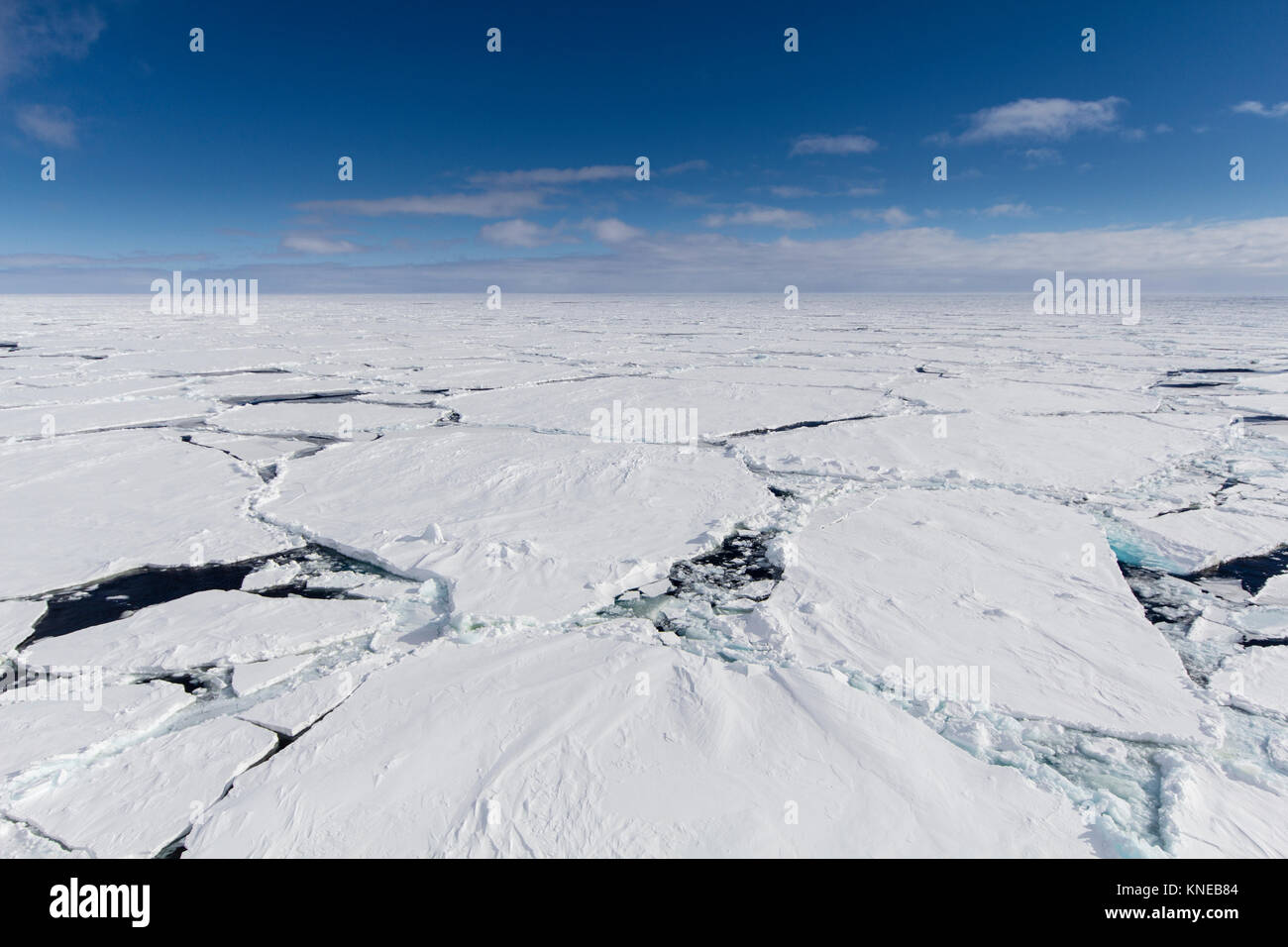 Ice floe with large cracks Stock Photo - Alamy