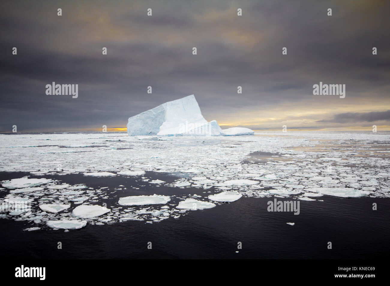 Blue colored iceberg during sunset in Antarctica (Weddell Sea Stock ...