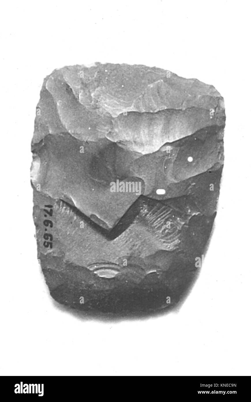 This flint scraper (MET 17.6.65) is an ancient tool used for cutting or ...
