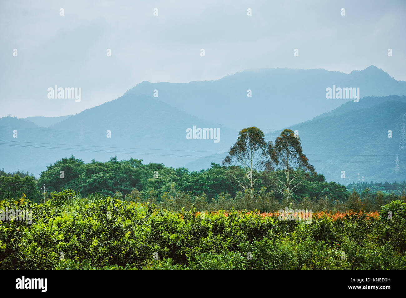 Beautiful countryside scenery Stock Photo - Alamy