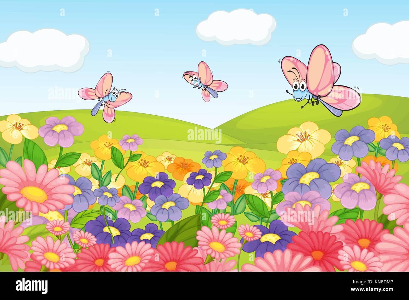 Drawings Butterfly Beautiful Nature 225+ Thousand Colorful Butterfly