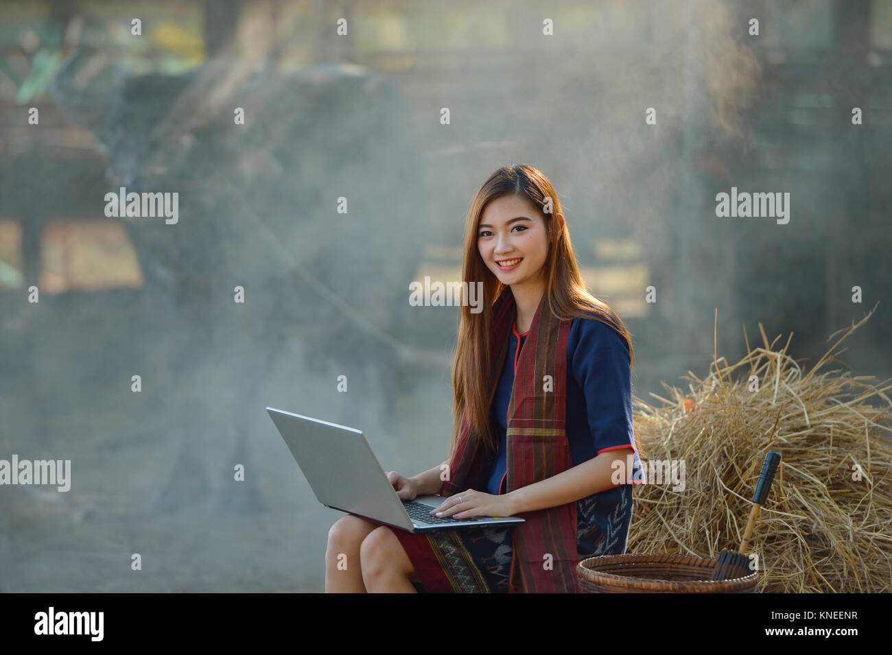 Woman sitting on a farm using a laptop computer, Thailand Stock Photo ...