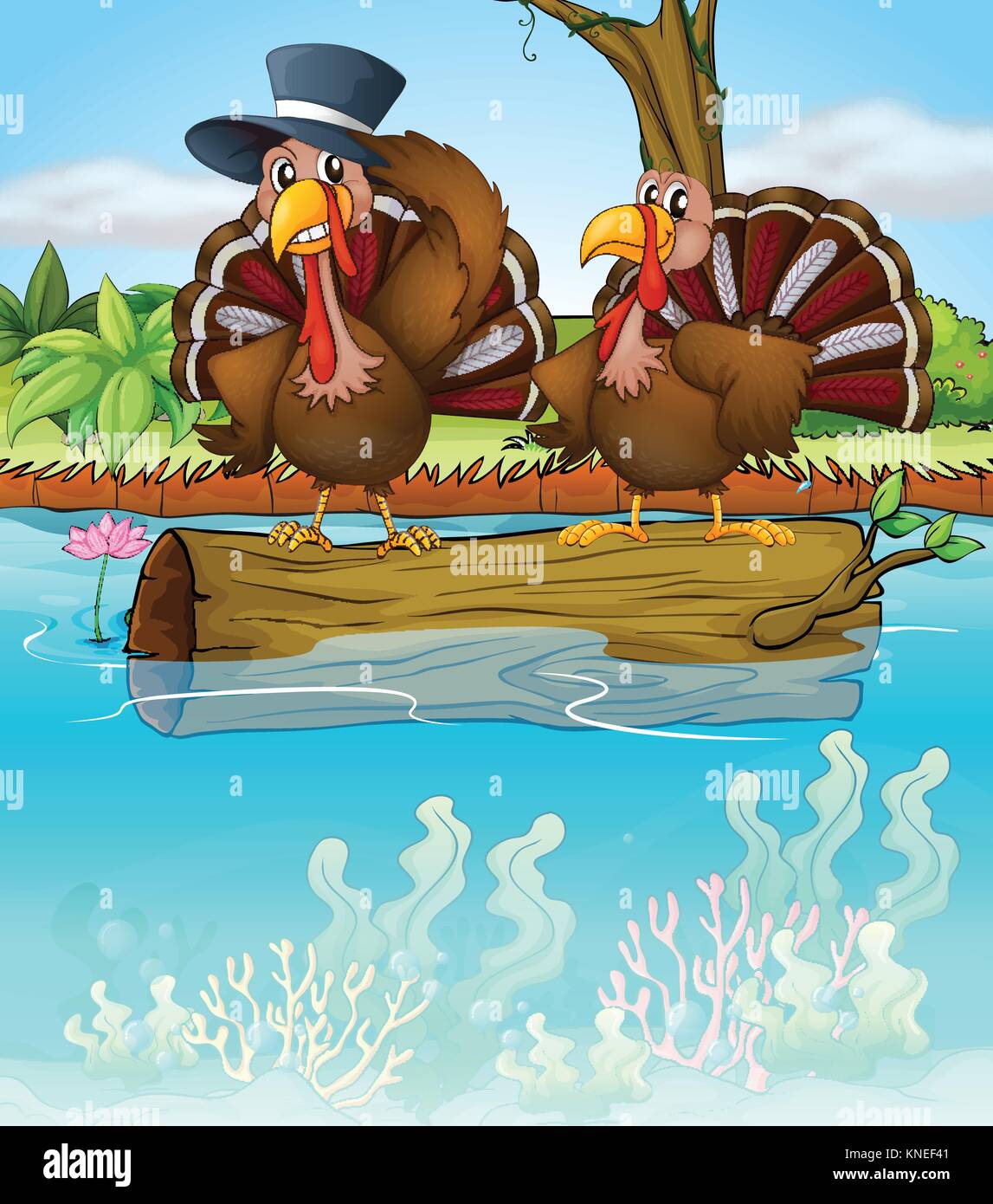 Two turkeys Stock Vector Images - Alamy