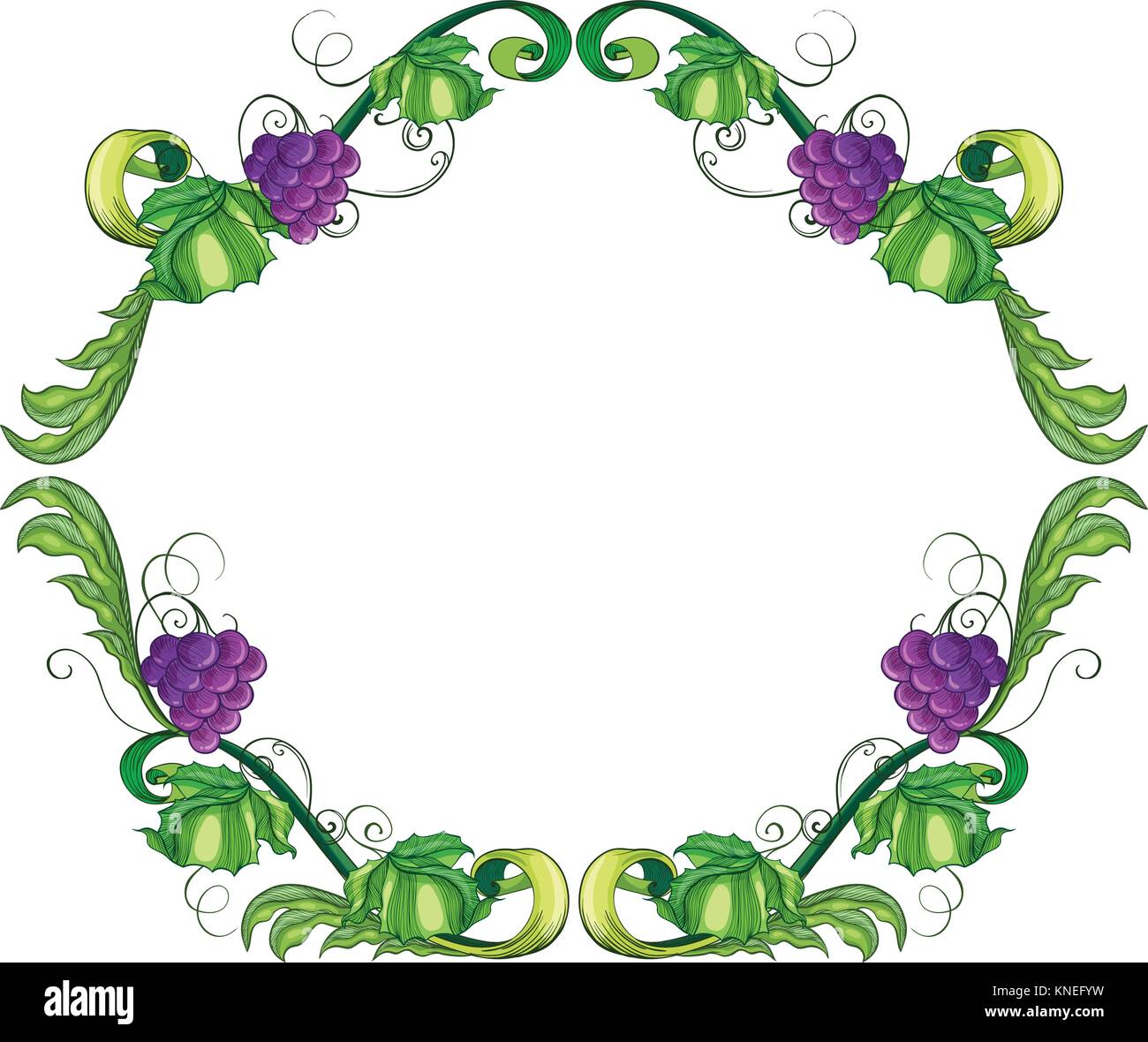 Illustration of a round vine fruit border on a white background Stock ...