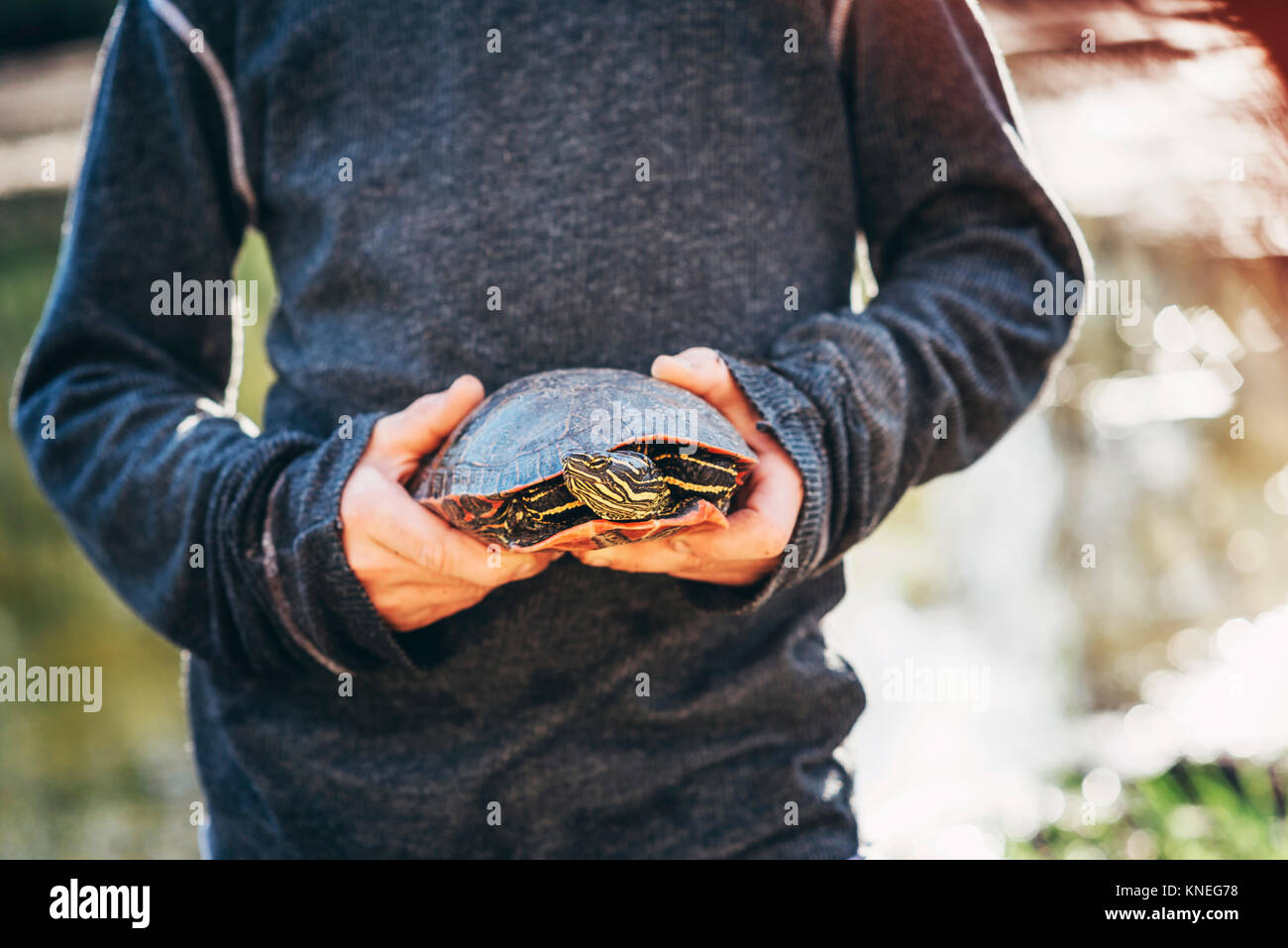 Boy holding a turtle Stock Photo - Alamy